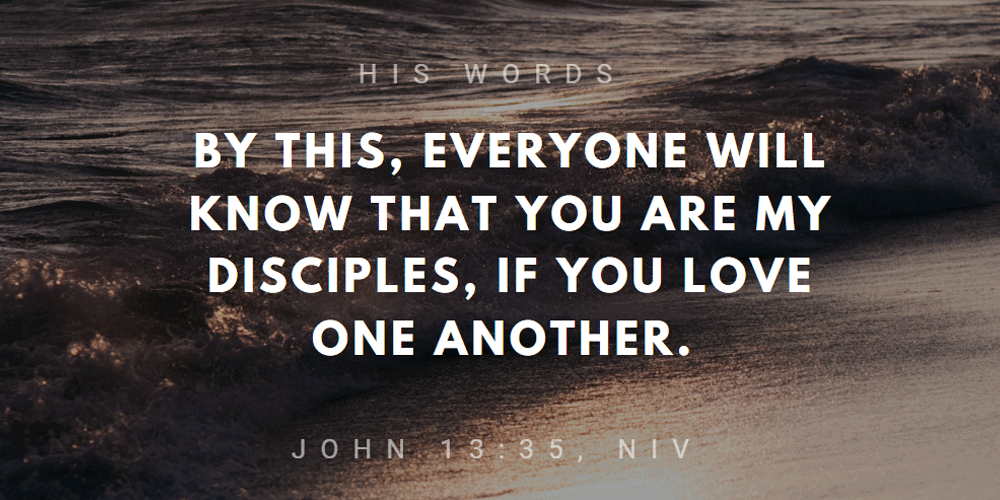 John 13:35, NIV